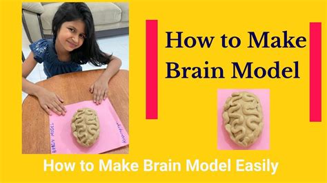 Brain Model Project Brain Cerebrum How To Make Brain Model Brain Project Mini Teaching