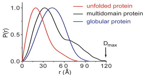 Figure A12 Pair Distribution Function Profiles Of Proteins With Download Scientific Diagram