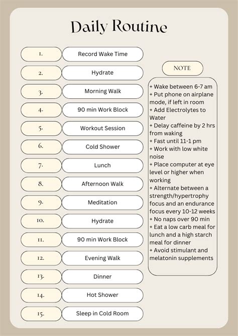 daily routine based off of andrew huberman daily routine habits