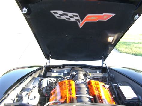 Alan Nothstein Flickr