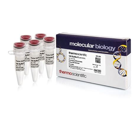 Buffer R 10x 5 X 10 Ml Buy Online Thermo Scientific™