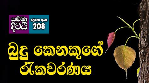 බුදු කෙනකුගේ රැකවරණය සම්මා දිට්ඨි දේශනා අංක 208 Youtube