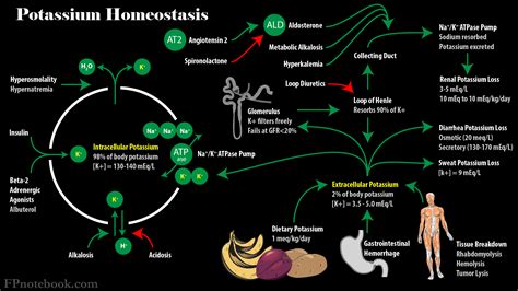 Hyperkalemia