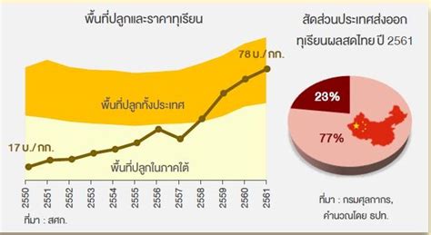 ผลวิจัยธปทเผยทุเรียนไทยต้องปรับตัว