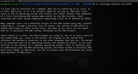 All About Robots — Nahamcon Ctf 2024 Writeup By Inferiorak Inferiorak