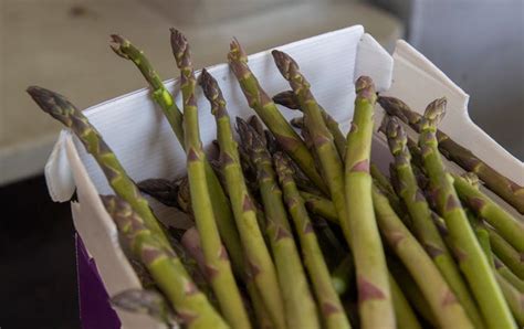 2023 San Joaquin Asparagus Festival Held At Fairgrounds In Stockton
