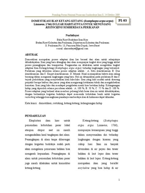 Pi 03 Pdf