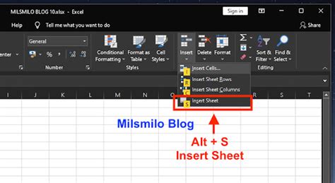 Begini Cara Menambah Dan Menghapus Sheet Di Excel Milsmilo Blog