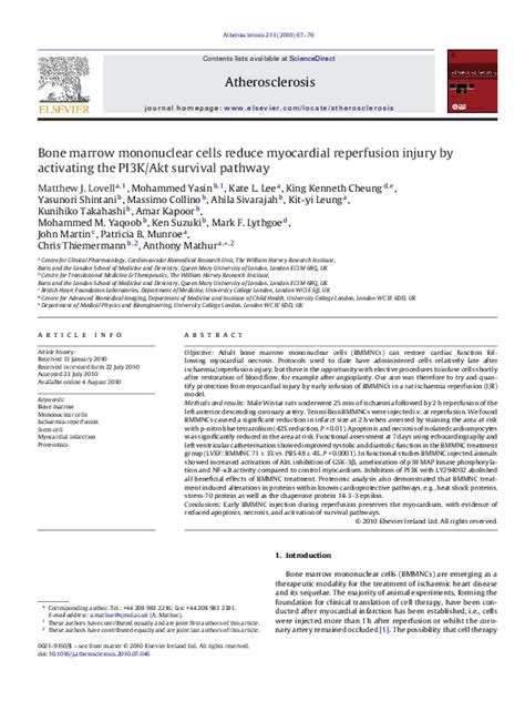 Pdf Bone Marrow Mononuclear Cells Reduce Myocardial Reperfusion