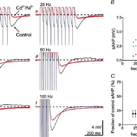 Summation Of The Sahp With Increasing Frequency Of Action Potentials A Download Scientific