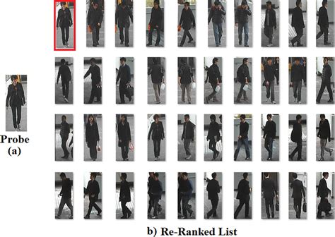 Sample Probe And Re Ranked List Download Scientific Diagram