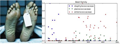 A Machine Learning Approach For Using The Postmortem Skin Microbiome To Estimate The Postmortem