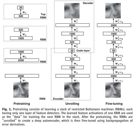 Reducing The Dimensionality Of Data With Neural Networks