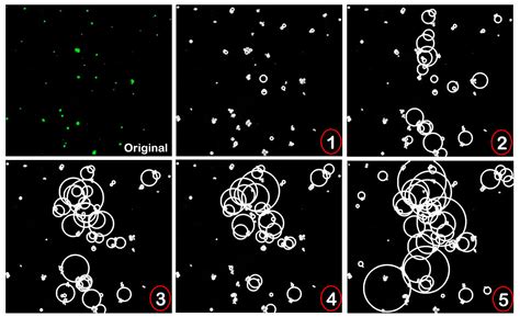 Towards The Development Of Rapid And Low Cost Pathogen Detection