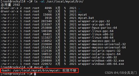 MySQL 读写分离代理Mycat mycat 代理单库 CSDN博客
