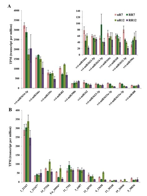 Hierarchical Clustering Heat Map Analysis Of Differentially Expressed Download Scientific
