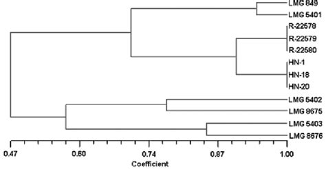 Dendrogram Of Genetic Relatedness Of The Combined RepPCR Data Inferred Download Scientific