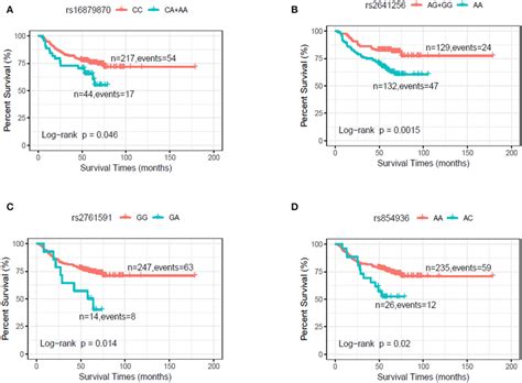 kaplan meier plot by genotypes of selected snps in dominant model in