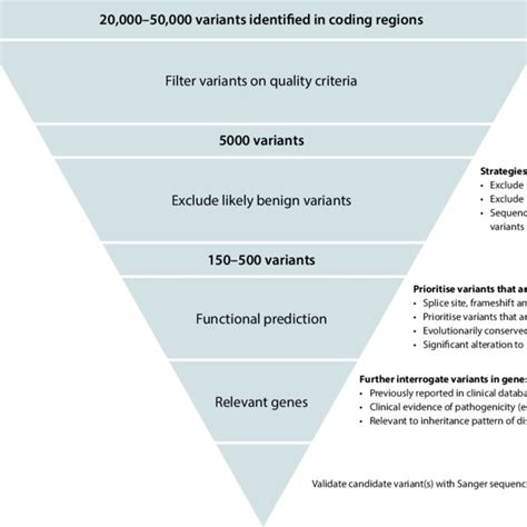 An Example Of A Variant Filtering Process For Exome Sequencing Data Download Scientific Diagram