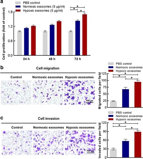 Hypoxic Exosomes Facilitate Bladder Tumor Growth And Development
