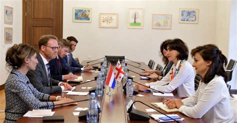 მაკა ბოჭორიშვილი აღმოსავლეთ პარტნიორობის საკითხებში ნიდერლანდების დელეგაციის სპეციალურ