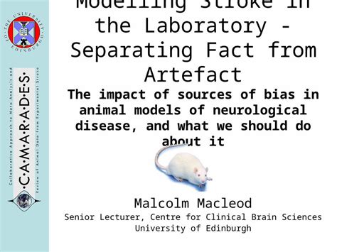 Ppt Modelling Stroke In The Laboratory Separating Fact From