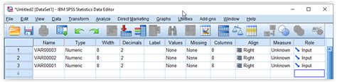 Variable View Pada Spss Dan Cara Membuat Variabel Advernesia