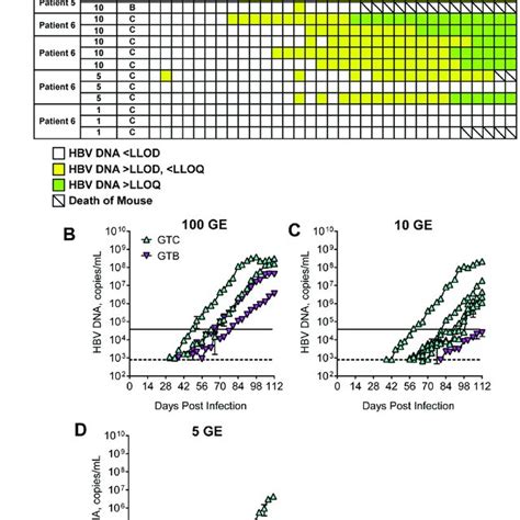 Dose Proportionality Power Model Results With And Without Data For