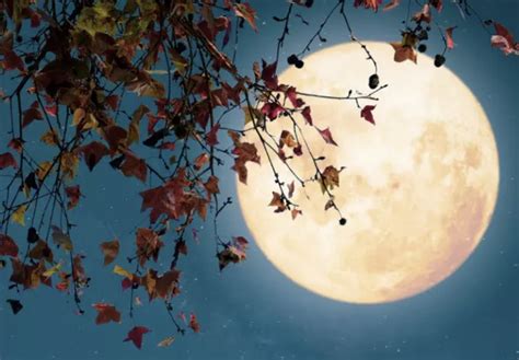 Животот на овие хороскопски знаци драстично ќе се промени по 8 декември