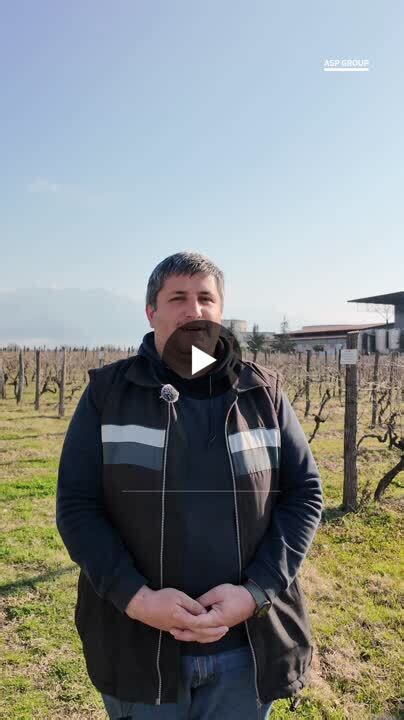 🔊 ქინძმარაულის მარანი Asp Group