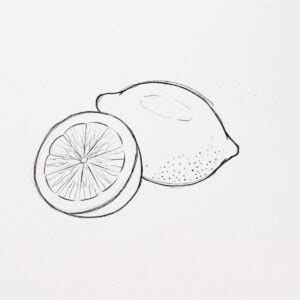 How To Draw A Lemon Easy Step By Step