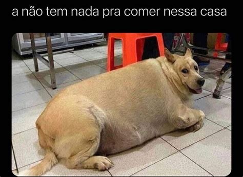 Vou Ter Que Arrumar Outra Desculpa Não Vai Dar Pra Ir Minha Mãe Não