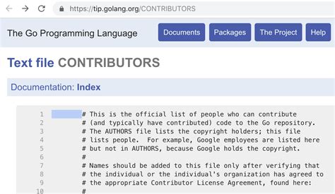Xtoolsgodoc Non Go File Html Rendering Adds A Leading Tab Which Can