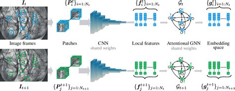 Graph Self Supervised Learning For Endoscopic Image Matching