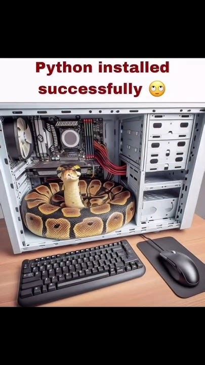 python installed successfully🙄 shortsvideo shorts youtube