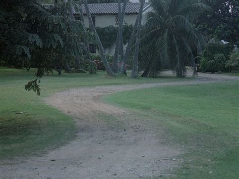 Magnum P I Robins Nest A K A Contemporary Anderson Estate Magnum Pi Filming Locations