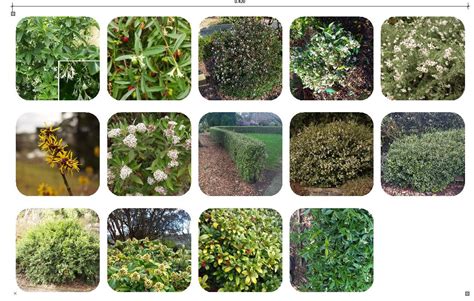 Semi Automating Image Exports From Sheet Space General Discussion