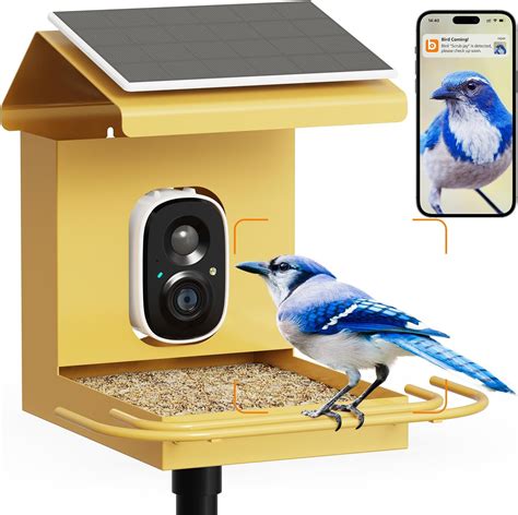Bilantan Metal Smart Bird Feeder With Camera Solar Powered Only 24g Wifi