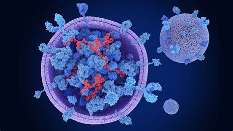 Inside The Race To Make Human Sex Cells In The Lab Mit Technology Review