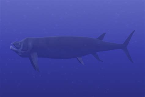 Xiphactinus 3d Model