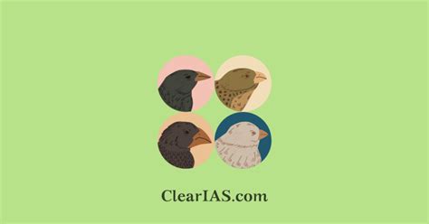 Speciation An Important Evolutionary Process Clearias