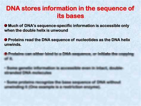 SOLUTION Dna Replication Study Guide Studypool