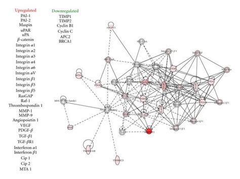 Microarray Transcript Profiling And Pathway Analysis Of Download