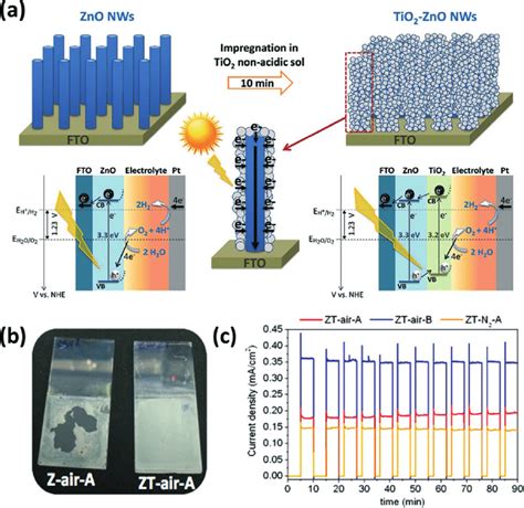 A Scheme Of The Prepared Photoelectrodes Consisting Of Zno Nanowires