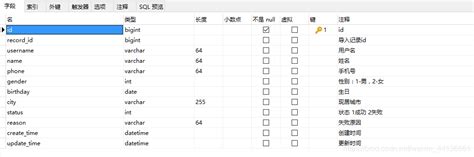 Spring Boot 实现excel 批量导入数据（模板下载 ＞数据导入 ＞导入失败表格下载）springbootcreate