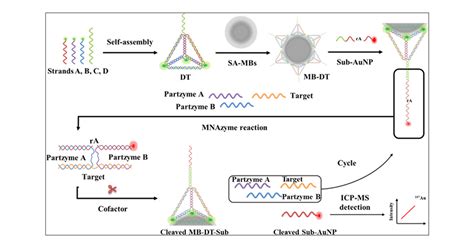 Dna Tetrahedron Based Mnazyme For Sensitive Detection Of Microrna With