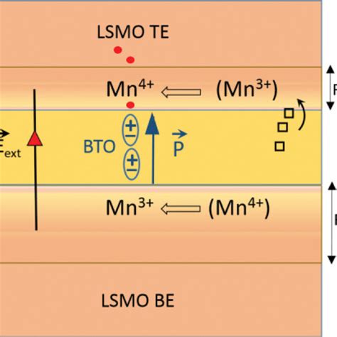Memristor For Synapse Emulation A Schematic Of Synapse And Memristor Download Scientific