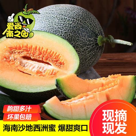 25号小蜜图片 小蜜图片 25号小蜜 大山谷图库