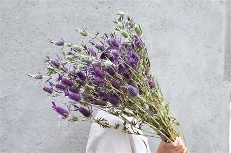 ドライフラワーの日持ち・寿命はどれくらい？長持ちさせるコツや取り換えの合図をご紹介！ ドライフラワー専門店カロンドライフラワー