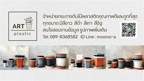 กระถางพลาสติก กระถางแคคตัส กระถางต้นไม้ราคาถูก By วิศิษฐ์ แคคตัสโอโซน กระถางพลาสติก กระถาง